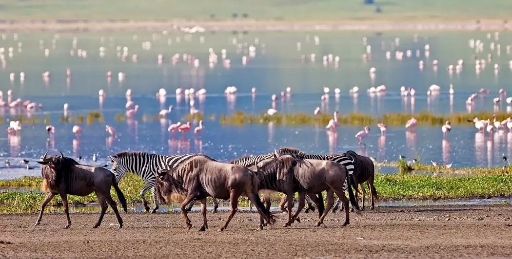 Activities – Rim View Inn